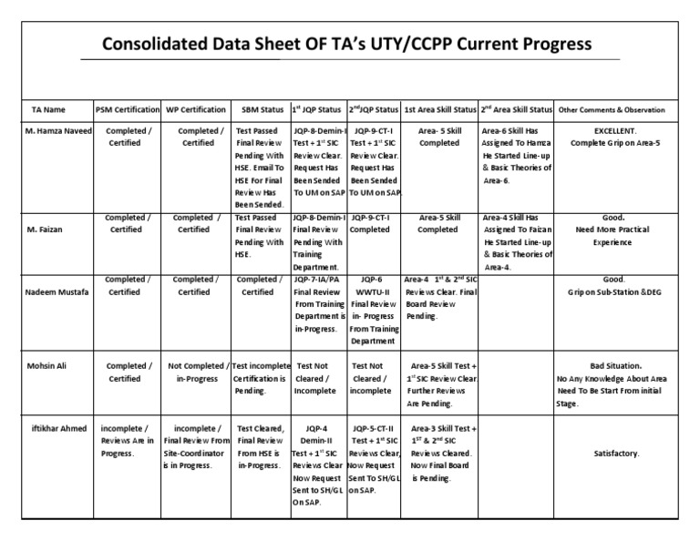 TA Progress Data Sheet Summary | PDF | Business