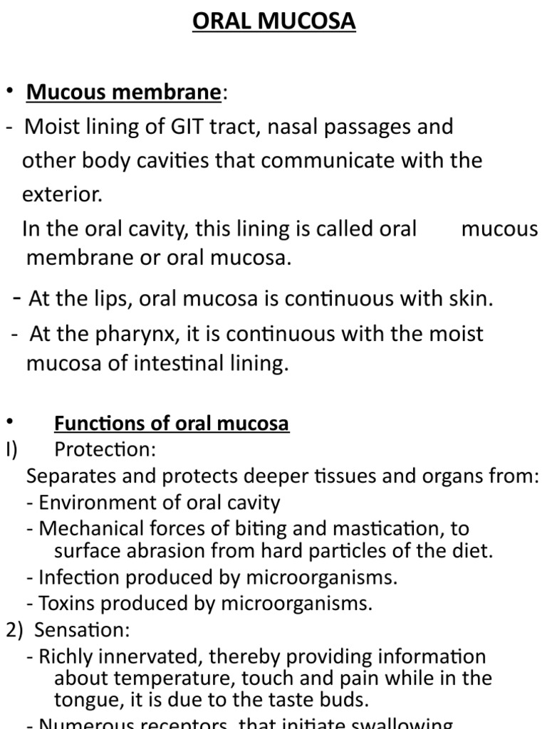 Oral Mucosa | PDF | Epithelium | Cell Biology