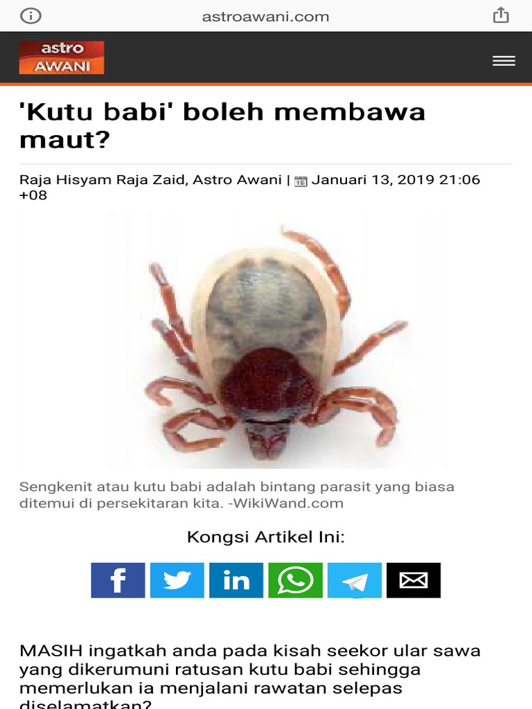 'Kutu Babi' Boleh Membawa Maut PDF | PDF