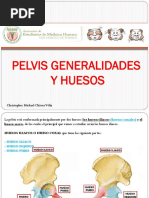 Anatomía y Cultura de las Nalgas | PDF | Nalgas | Anatomía humana