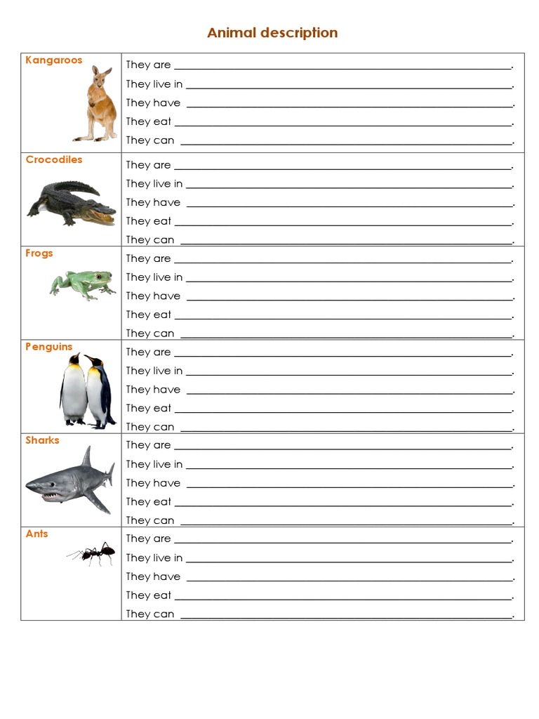 Animal Description | PDF | Nature