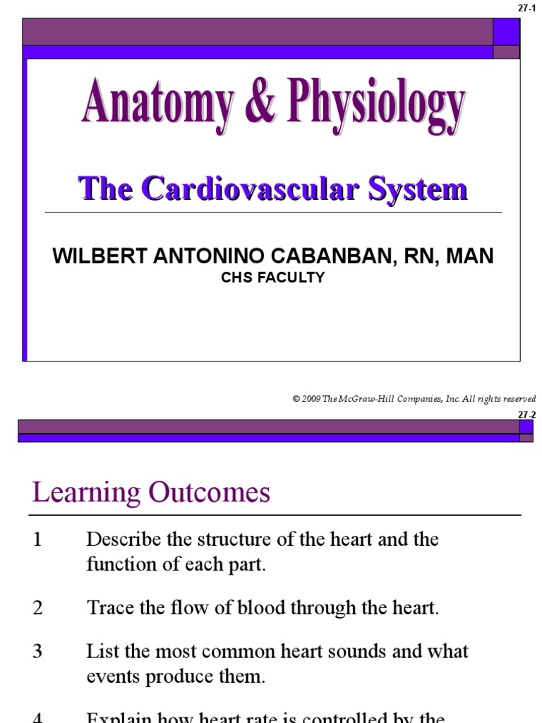 The Circulatory System | PDF | Heart Valve | Atrium (Heart)