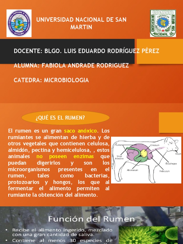 rumen-pdf-rumiante-digesti-n