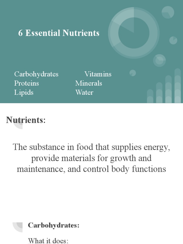 6 Essential Nutrients | PDF | Carbohydrates | Fat