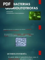 QUIMIOTROFOS | PDF | Sustancias químicas | Biología