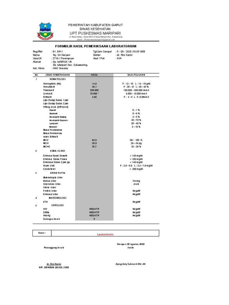 Format Hasil Lab Hematologi Dengan Hematology Analizer | PDF