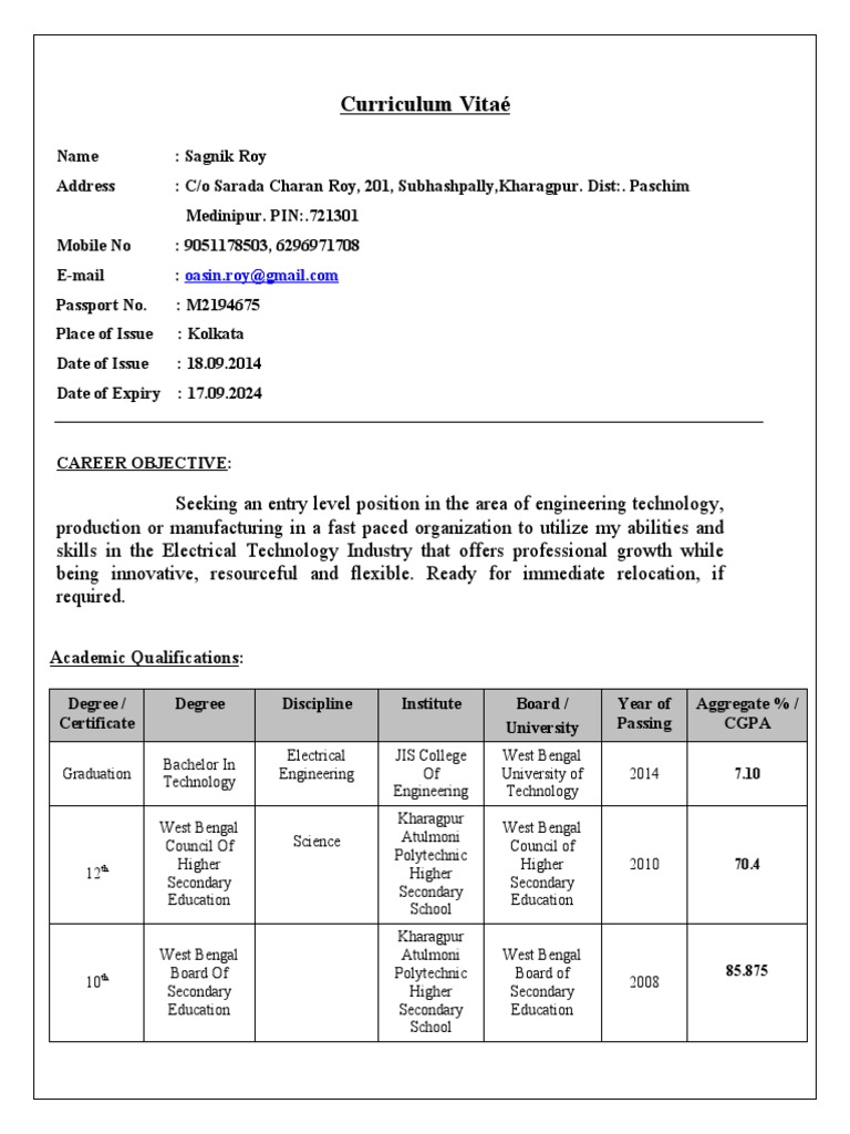 CV Sagnik Roy | PDF | Academic Degree | Institute Of Technology