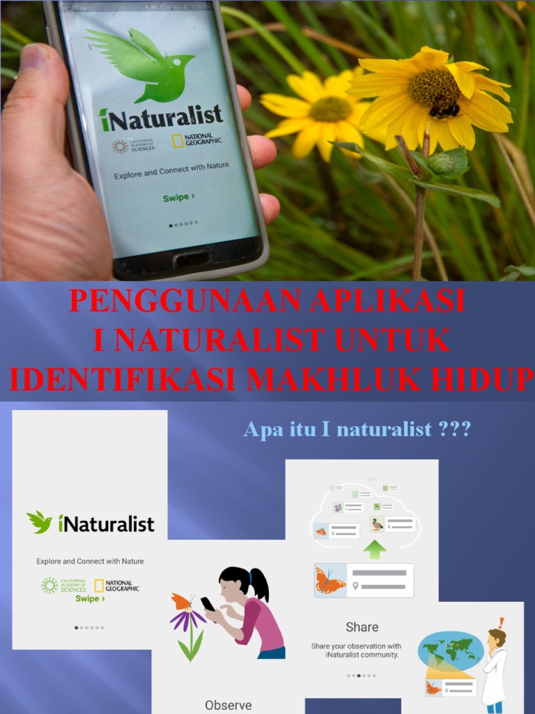 Inaturalist 1 | PDF | Pengembangan Diri