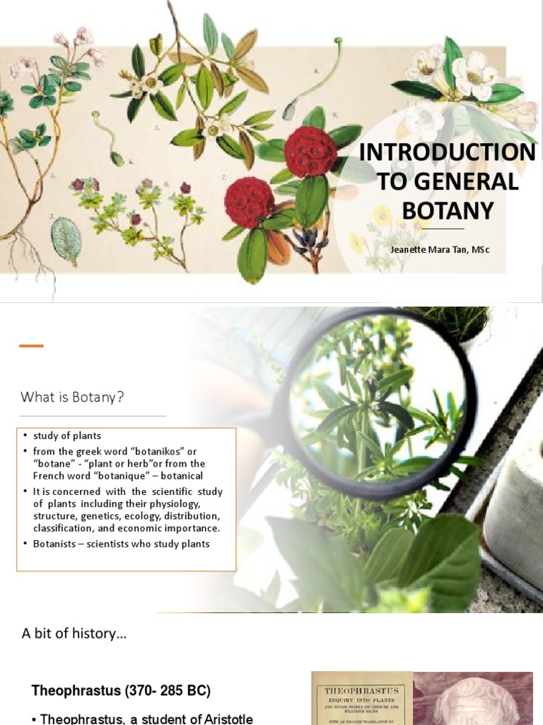 Introduction To General Botany PDF | PDF | Botany | Plants