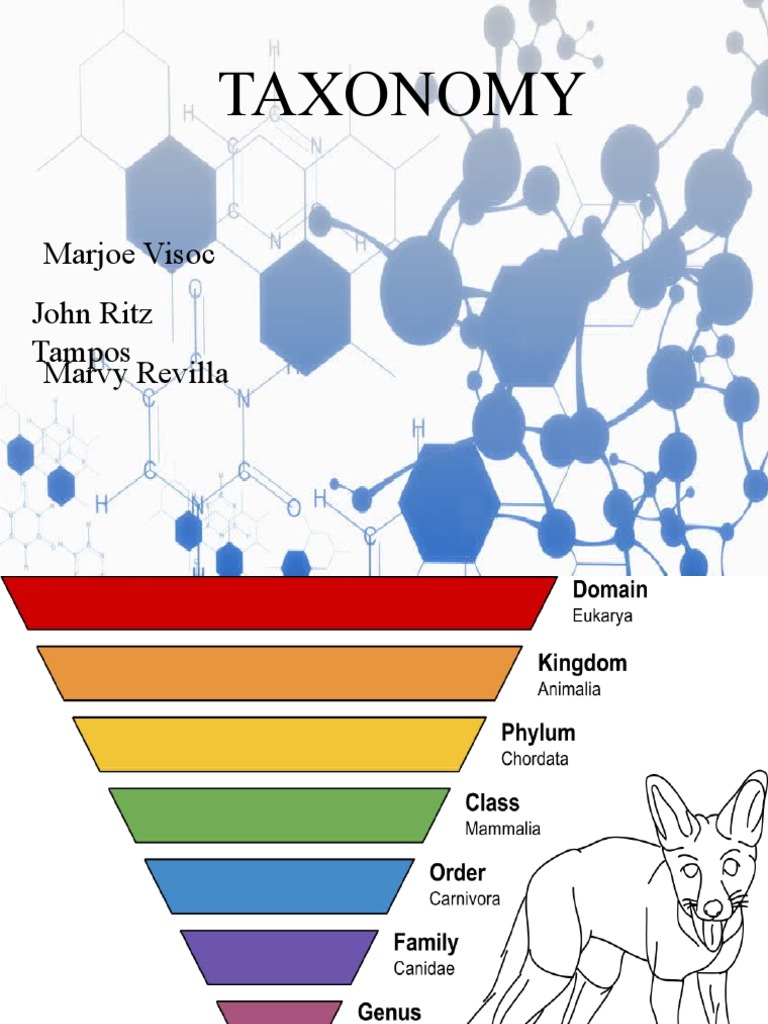 Bio TAXONOMY | PDF | Taxonomy (Biology) | Genus