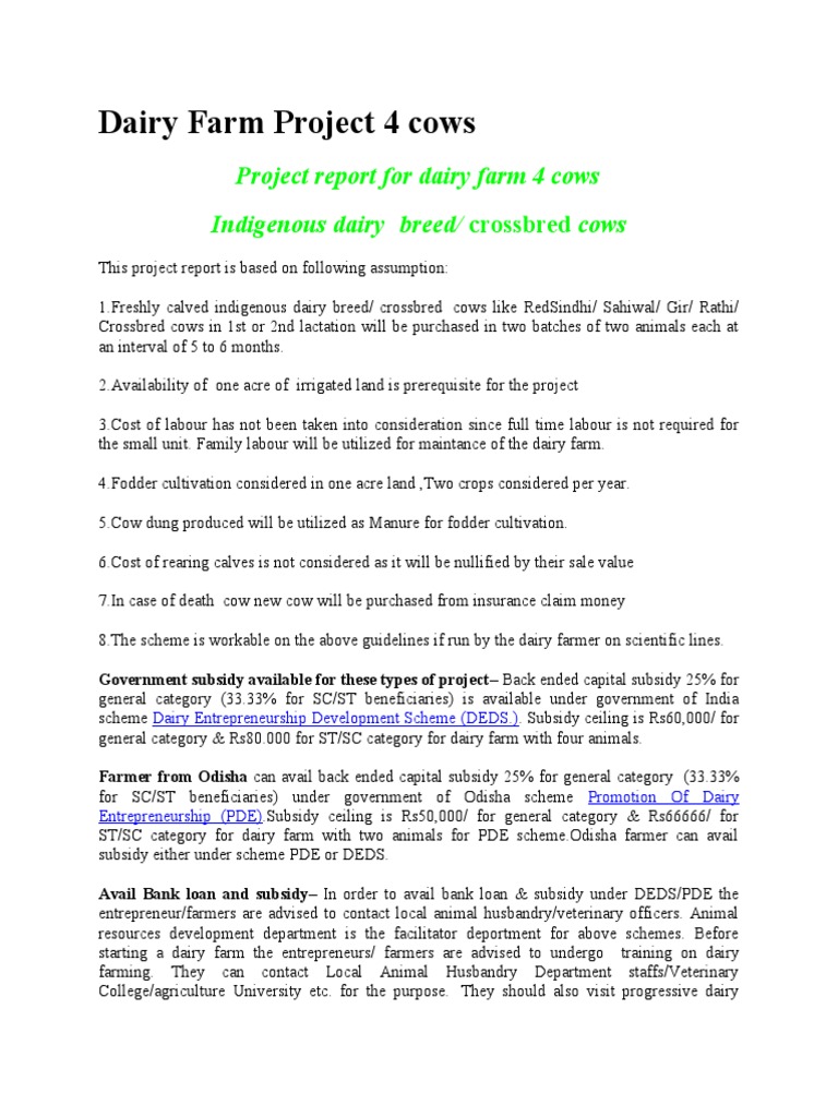 Dairy Farm Project 4 Cows | PDF | Dairy Cattle | Dairy Farming