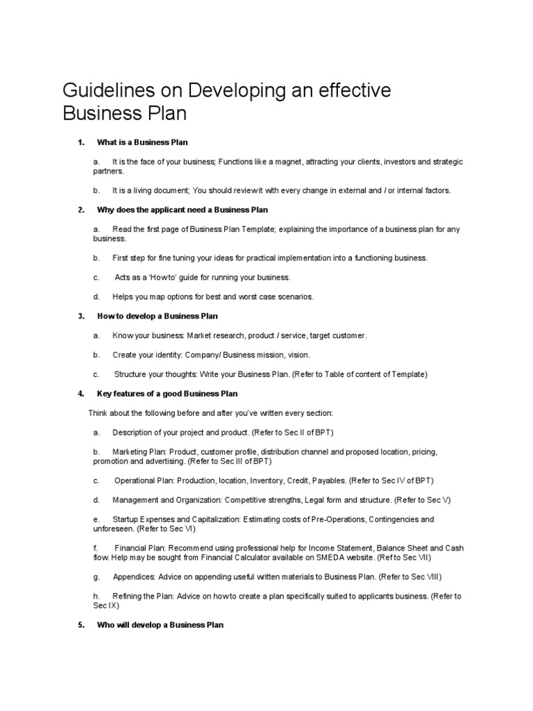 Business Plan Development Guidelines | PDF | U.S. Securities And ...