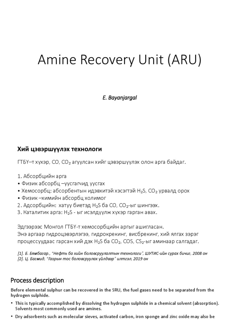 Amine Recovery Unit (ARU) : E. Bayanjargal | Download Free PDF | Amine ...