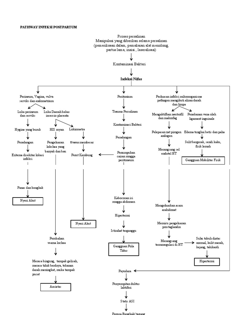 Pathway Infeksi Postpartum PDF | PDF