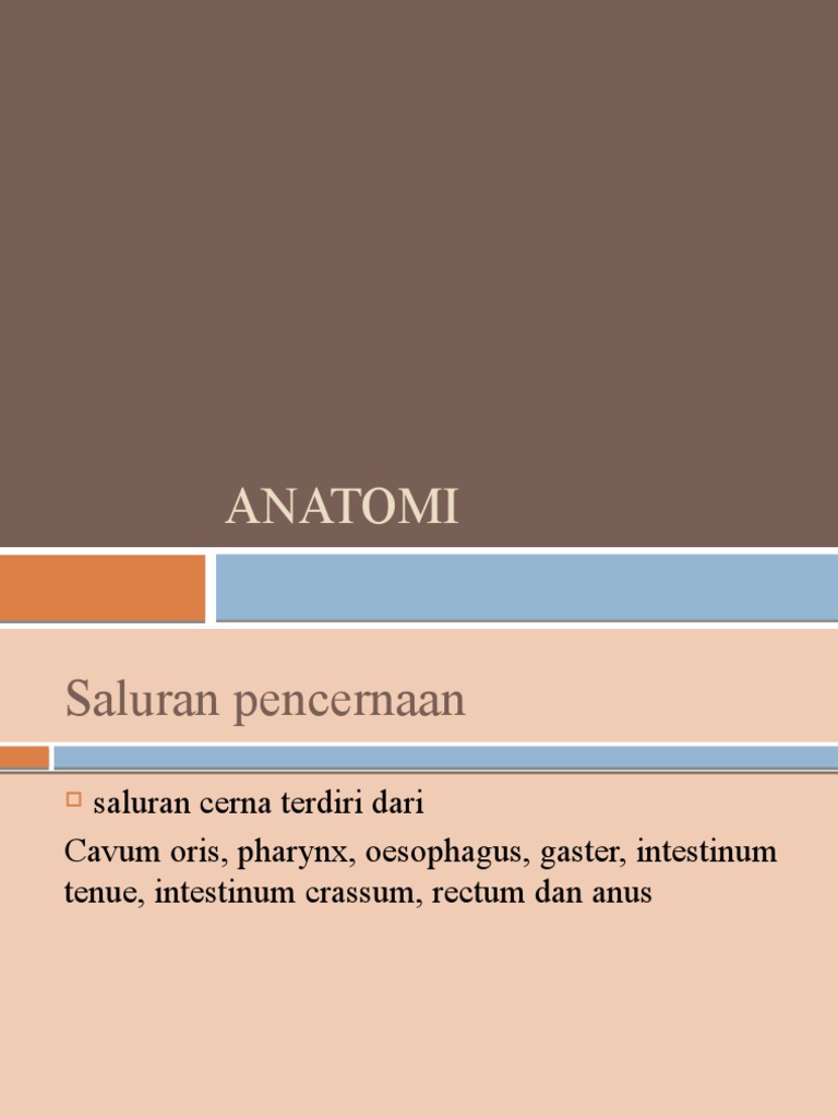 Sken 1 Anat Dan Histo Sal Cerna | PDF