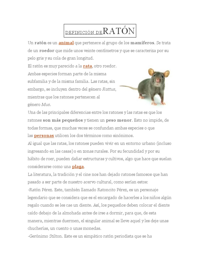 Definición de Ratón | PDF | Roedor | Informática