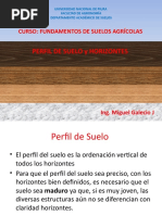 LITOSOLES | PDF | Suelo | Roca (geología)