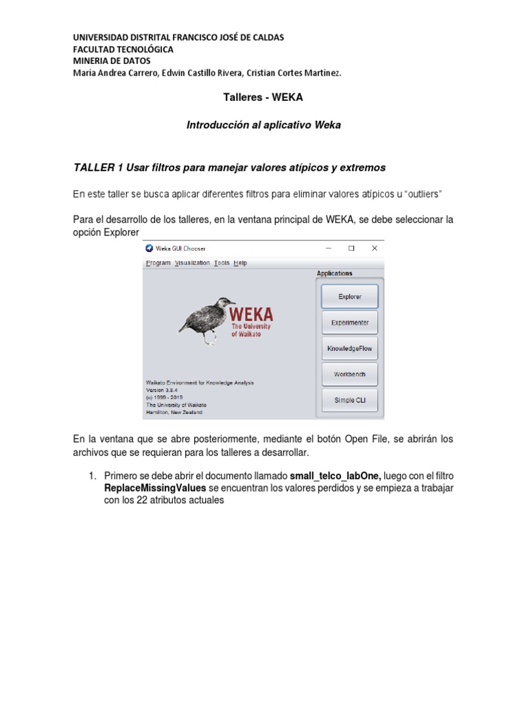 Talleres de WEKA: Manejo de Outliers | PDF | Negocios | Informática