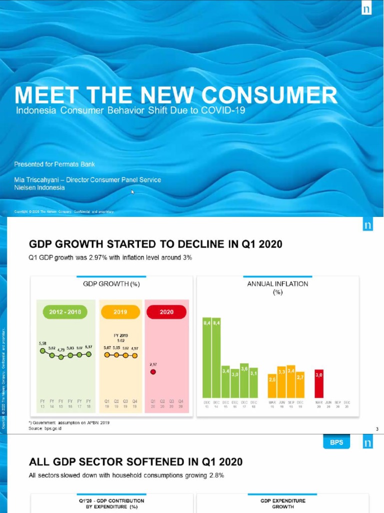 Nielsen Meet The New Consumer | PDF
