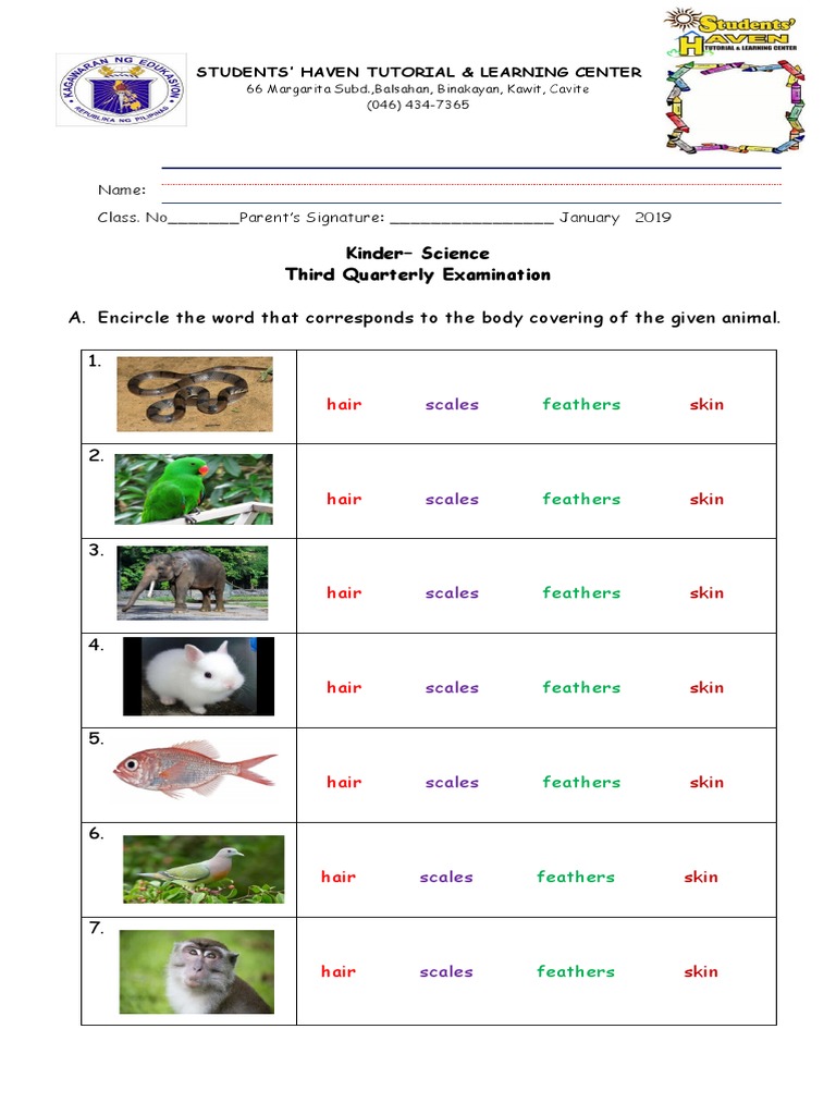 Kinder - Science Third Quarterly Examination | PDF | Organisms | Nature