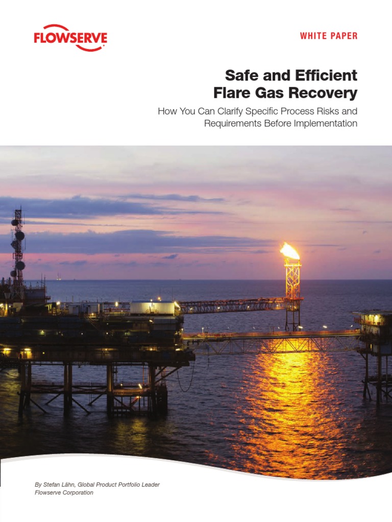 Safe and Efficient Flare Gas Recovery | PDF | Valve | Liquids