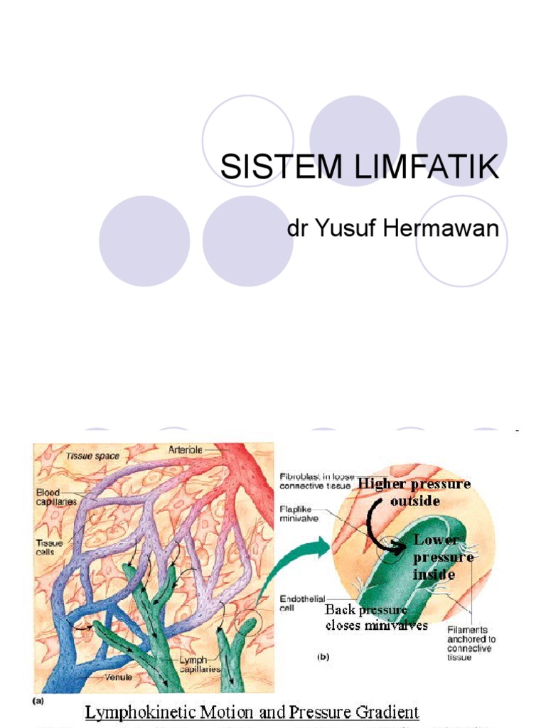 Sistem Limfatik | PDF