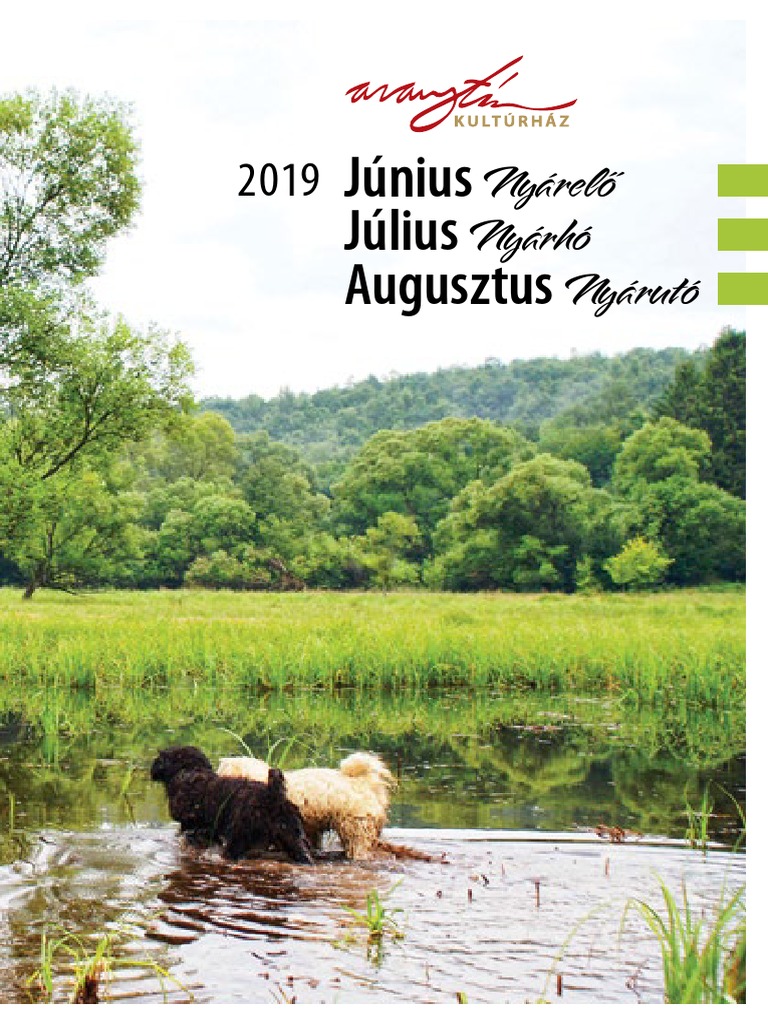 Aranytiz - 2019 - Nyár v2 PDF | PDF