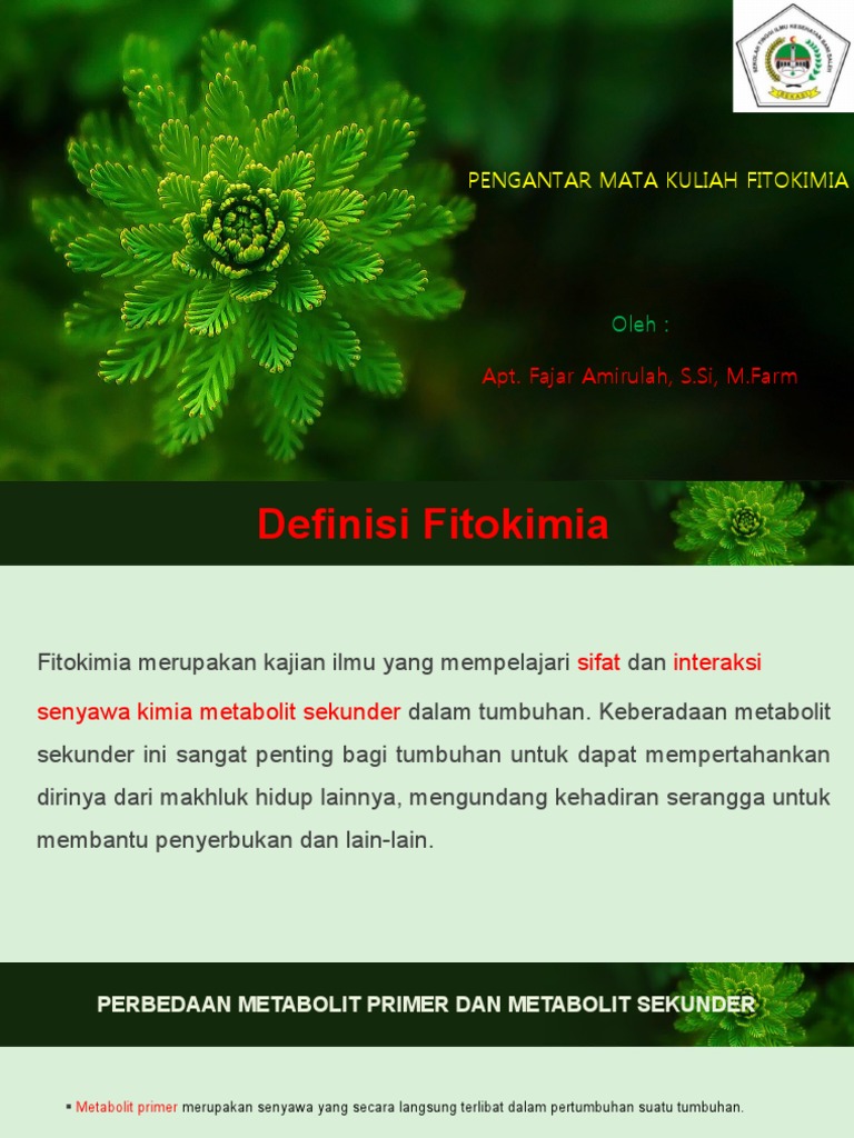 Pengantar Kuliah Fitokimia | PDF