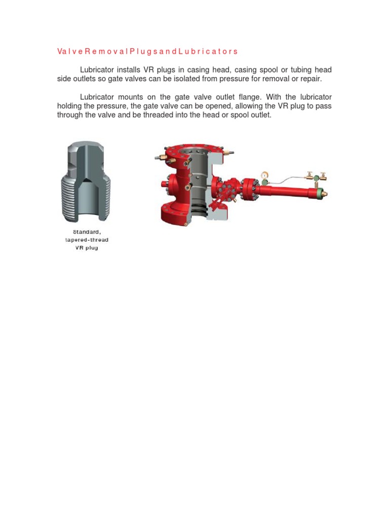 VR Plugs & Lubricator | PDF
