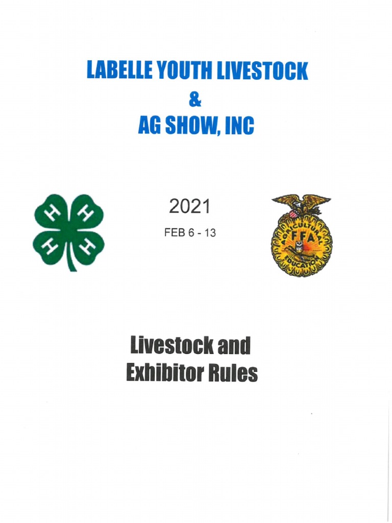LYLAS Rule Book For 2021 PDF | PDF