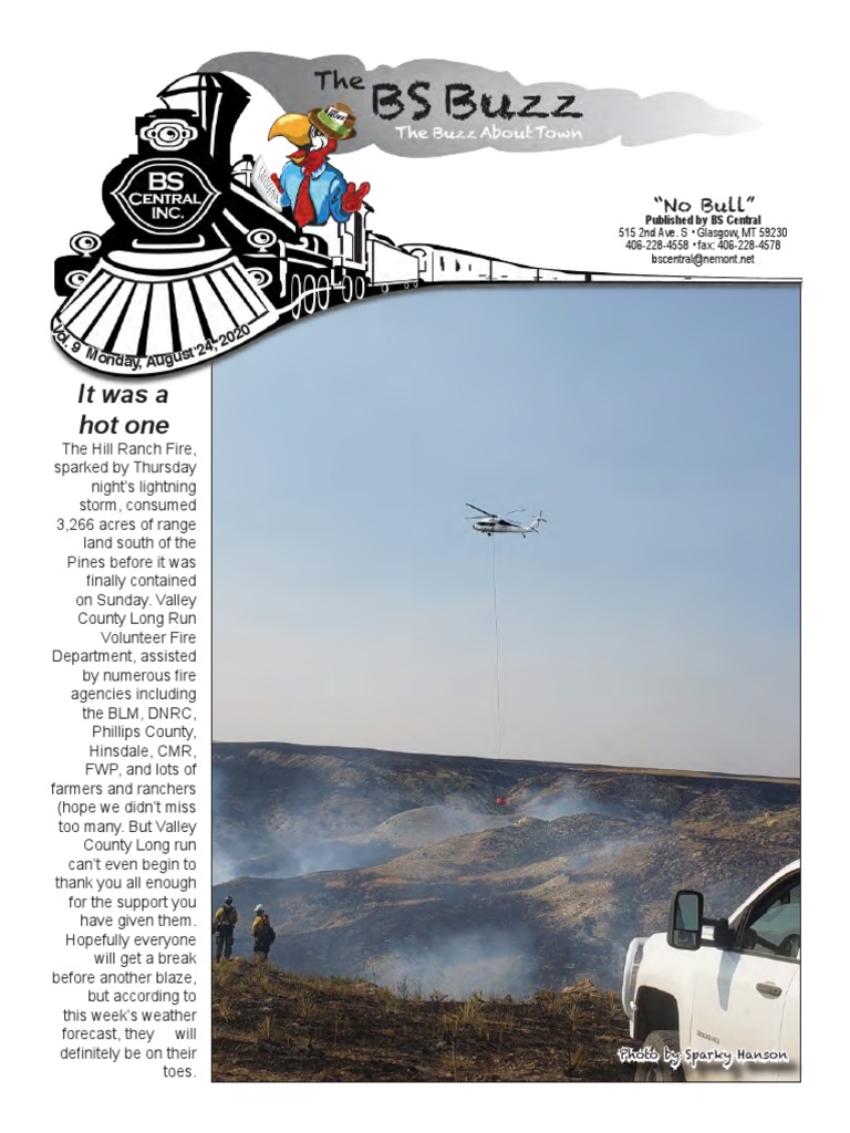 BS Buzz | PDF | Steak | Beef