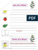 Chef Reading Comprehension | PDF | Cooking, Food & Wine