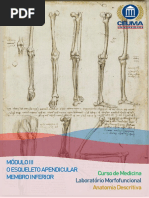 EstgioPuberal - Tanner Meninas | PDF | Sistema reprodutivo animal ...