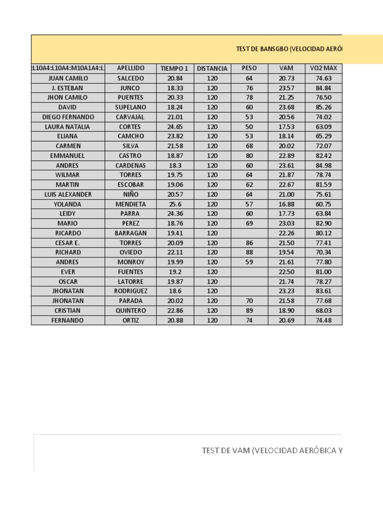 Test de Vam Tabla Exel | PDF