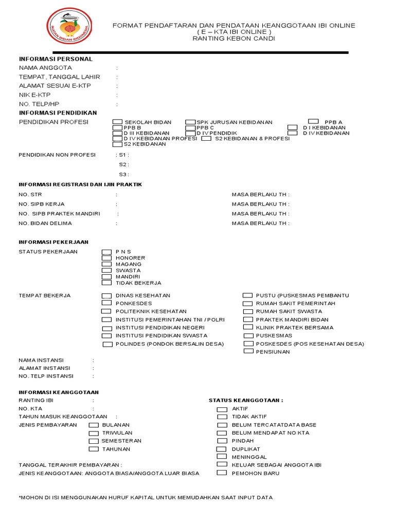 Format Pendataan Ibi | PDF