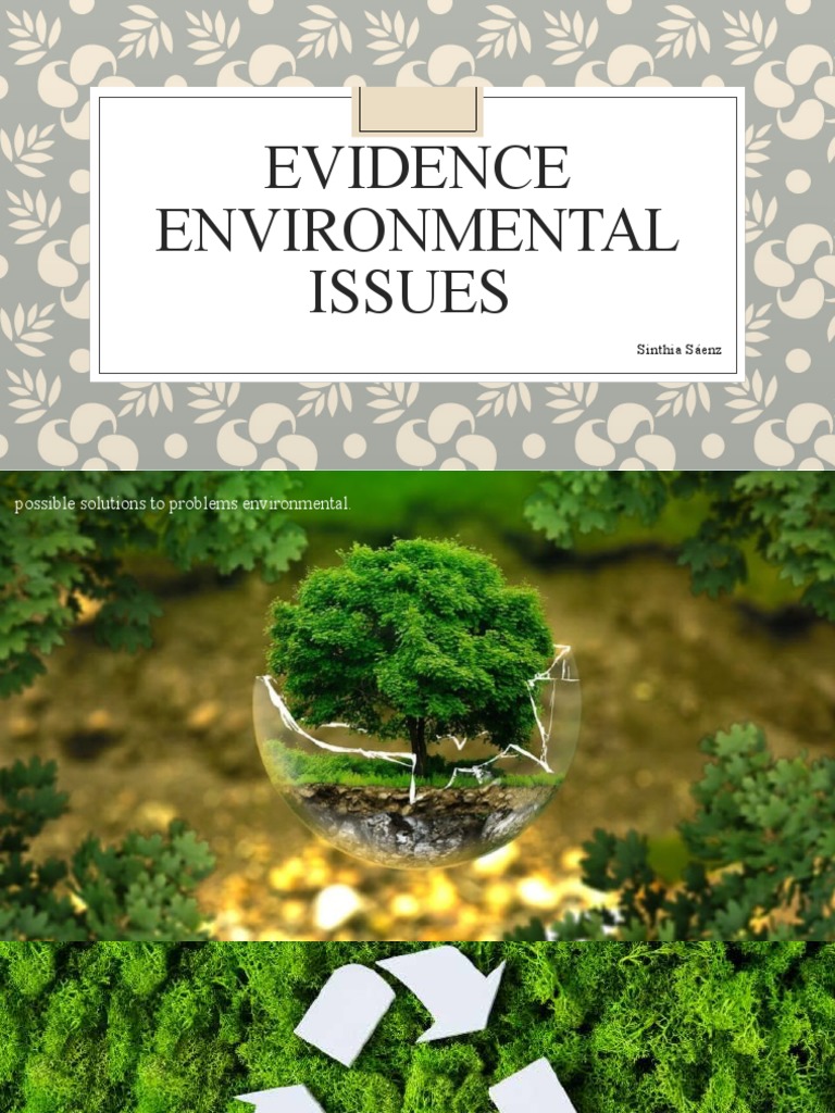Evidence 3 Environmental Issues | PDF