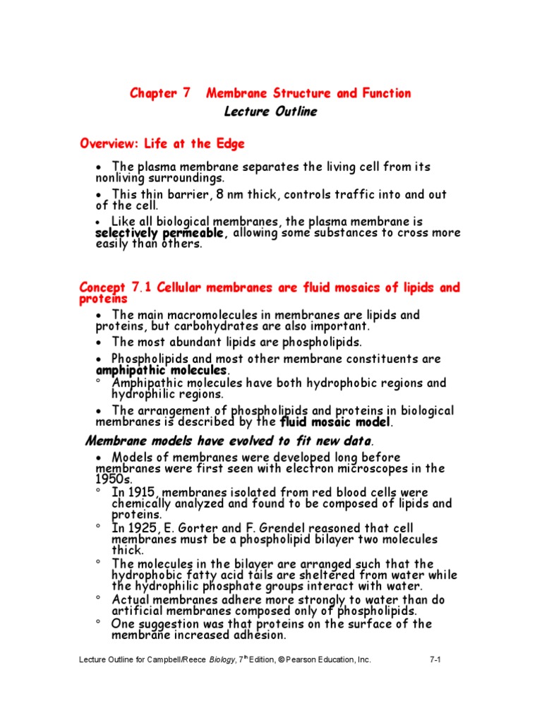 Chapter7 - Membrane Structure and Function | PDF | Cell Membrane | Membrane Potential
