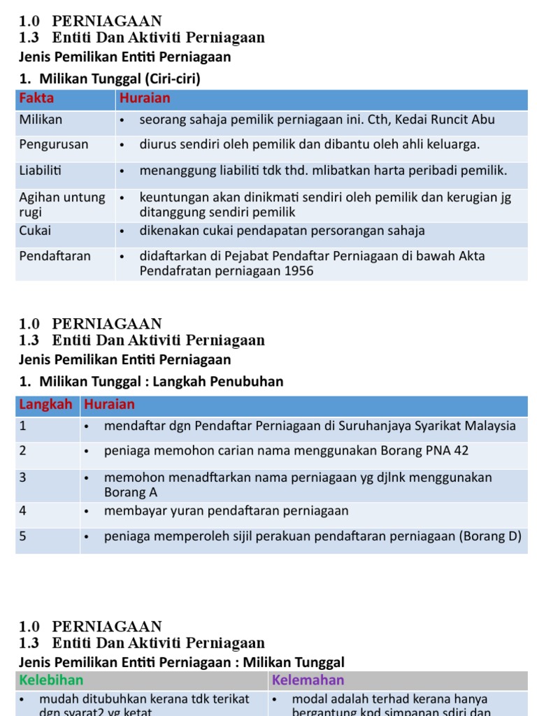 Entiti Perniagaan | PDF