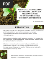 Project Proposal For RICE Production | PDF | Rice | Agriculture