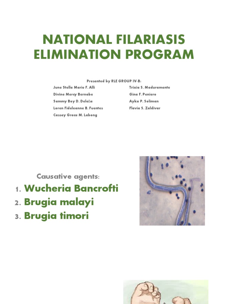 National Filariasis Elimination Program | PDF | Diseases And Disorders ...