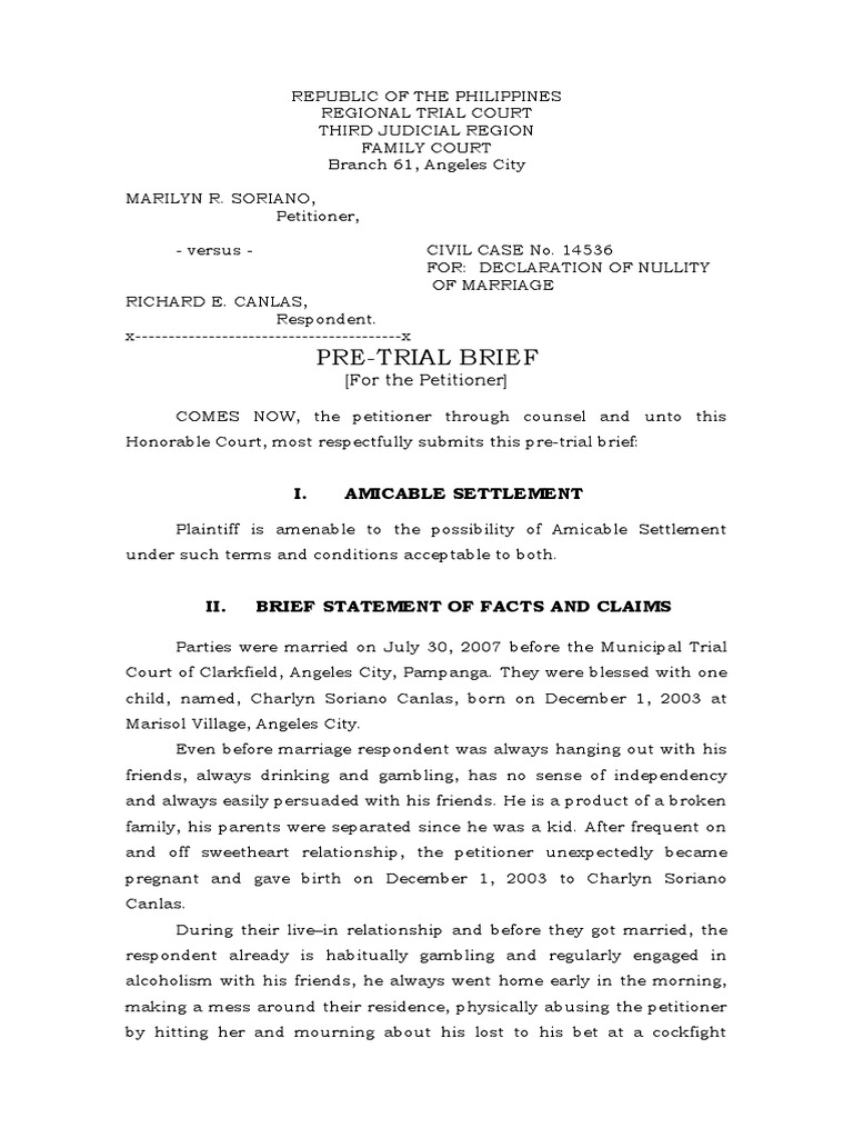 Petitioner's Pre-Trial Brief Outlining the Case for Nullifying a ...