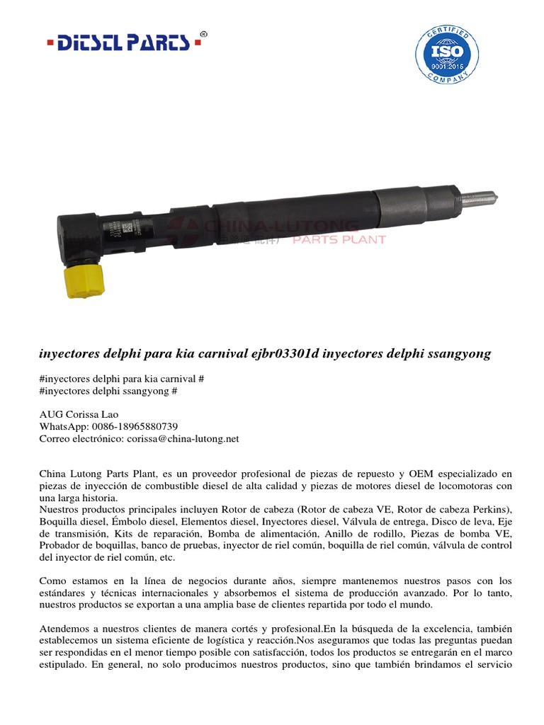 Inyectores Delphi para Kia Carnival Ejbr03301d Inyectores Delphi ...
