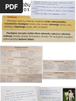 Nosiniu Raidziu Rasyba | PDF