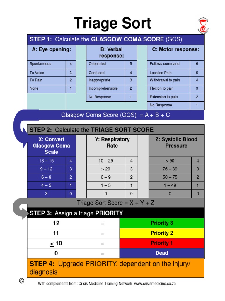 Triage Sort: Step 1: Calculate The Glasgow Coma Score (GCS) | PDF