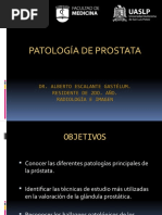 Protocolo Diagnóstico de Las Adenopatías Inguinales | PDF | Infección transmitida sexualmente ...
