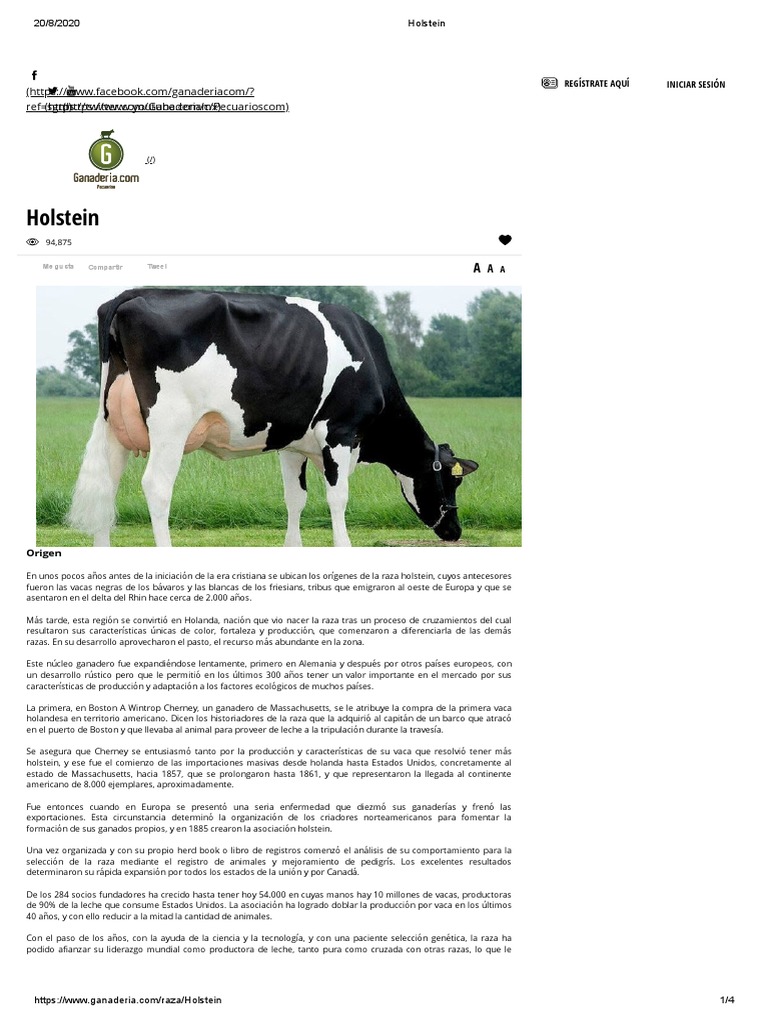 Holstein Pdf Pdf Vacas Leche