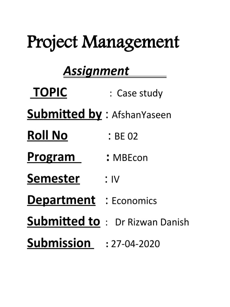 Project Management Assignment | PDF