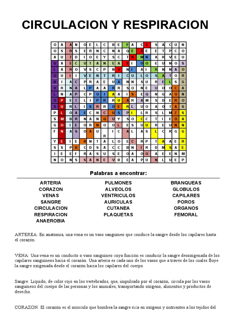 Sopa de Letras | PDF | Sistema circulatorio | Sangre