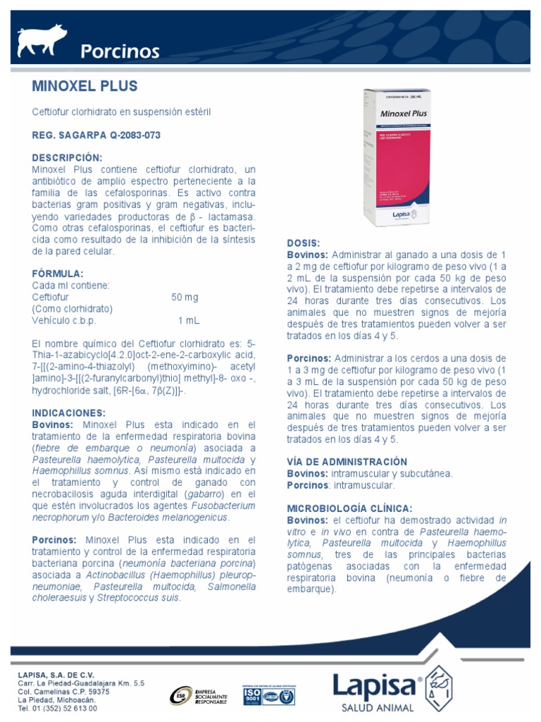 Minoxel Plus | PDF | Alergia | Penicilina
