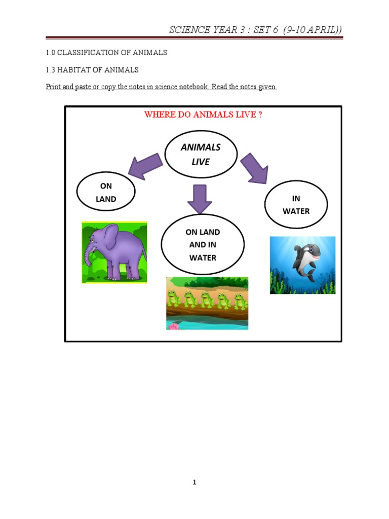 Science Year 3: Set 6 (9-10 April) ) : Animals Live | PDF | Foreign ...